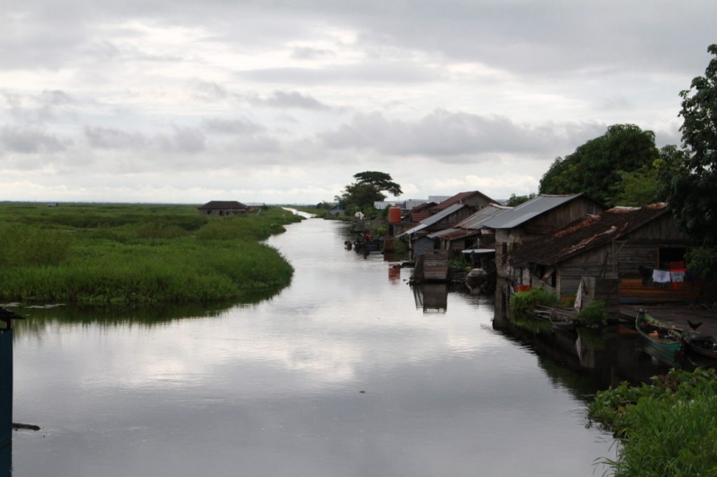 Demi Ketahanan Pangan, Kementan Serius Garap Lahan Rawa Lebak - MONITOR