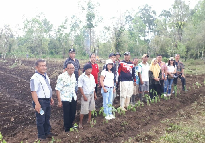 Kementan dukung Budidaya Organik di Sulawesi Utara - MONITOR Kementan dukung Budidaya Organik di Sulawesi Utara - MONITOR