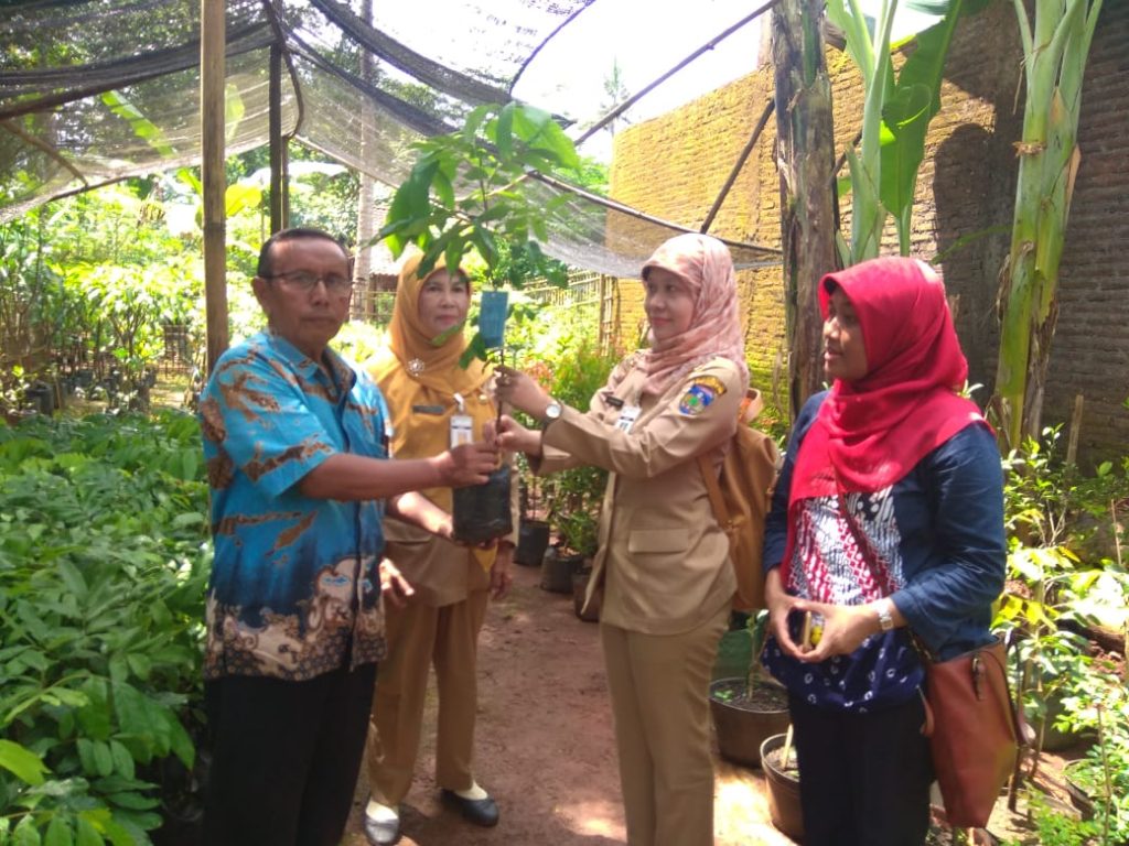 Lengkeng Varietas Kateki, Bisa Panen Setelah Tiga Tahun Ditanam - MONITOR