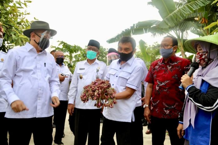 KSP KUD Mintorogo Peroleh Relaksasi Pembiayaan LPDB-KUMKM - MONITOR KSP KUD Mintorogo Peroleh Relaksasi Pembiayaan LPDB-KUMKM - MONITOR