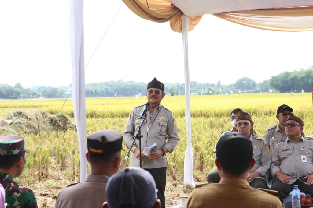 Sentra Produksi Beras Jawa Barat Masuk Masa Panen Raya - MONITOR