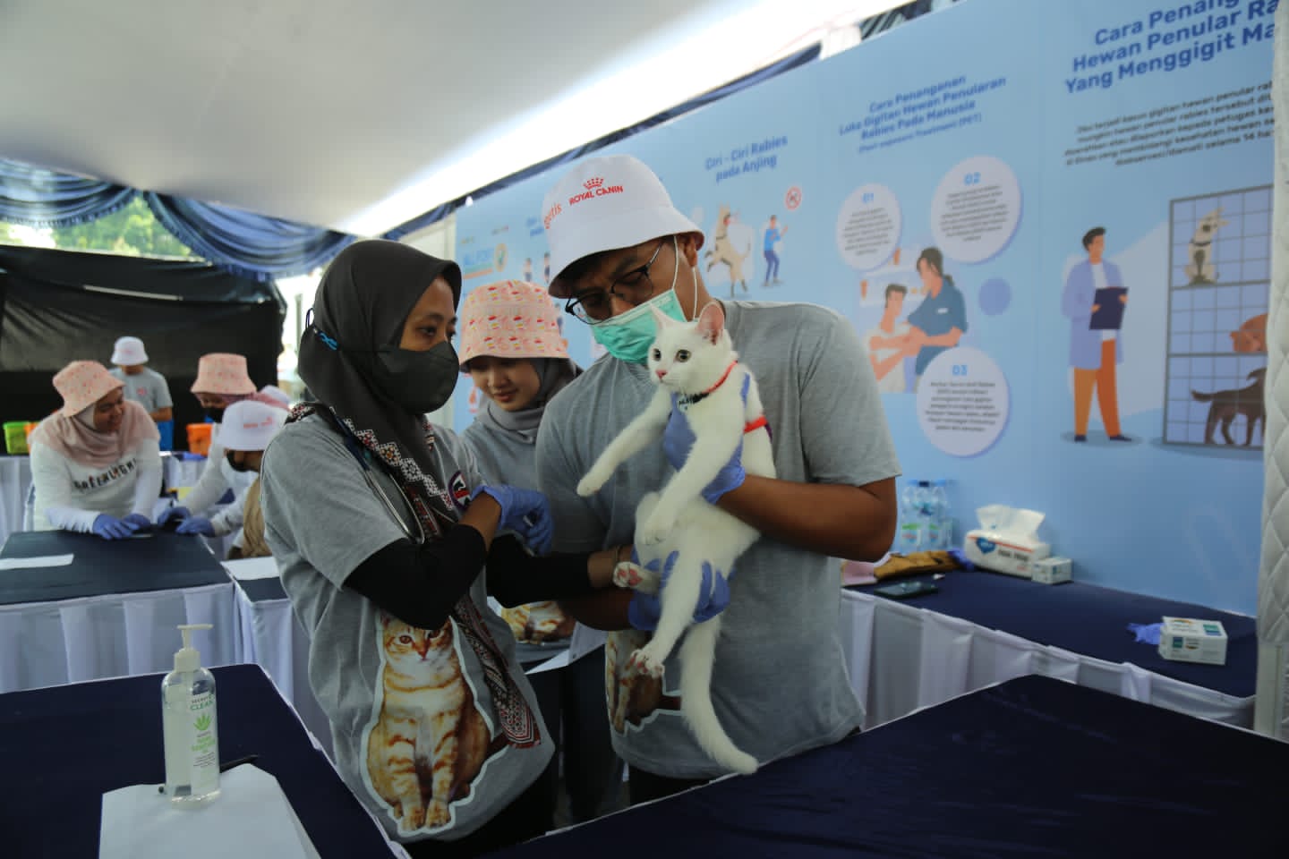 Menuju Indonesia Bebas Rabies 2030, Kementan Gelar Vaksinasi Serentak ...