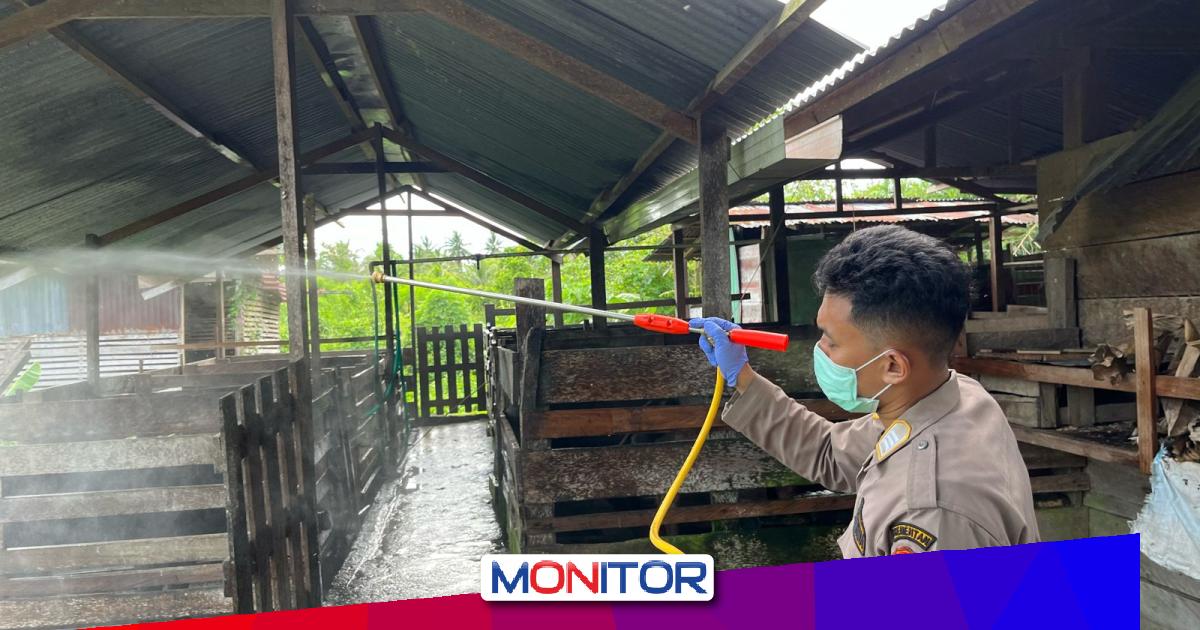 Karantina Papua Selatan dan Dinas P2KP Provinsi Papua Selatan Lakukan ...