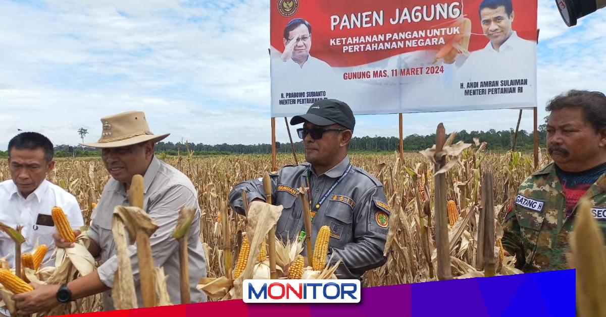 Mentan Amran: Hasil Panen Jagung Melimpah, Antisipasi Harga di Tingkat Petani Anjlok - MONITOR